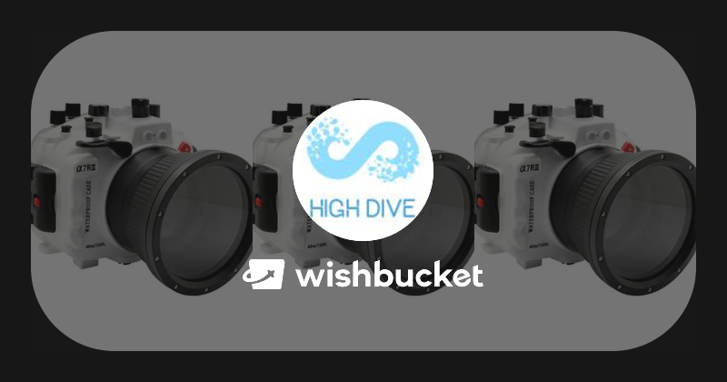 하이 다이브의 실시간 인기 위시템 - 위시버킷